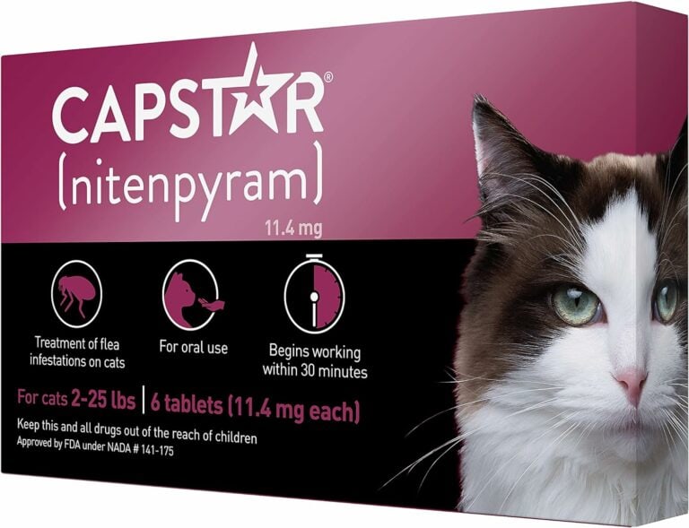 4 Best Oral Flea Treatments for Cats - 2026 Reviews and Top Picks ...