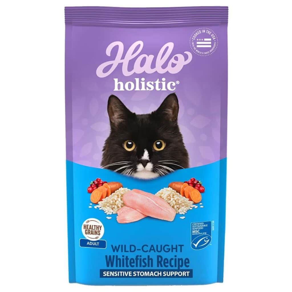 10 Best Holistic Cat Foods – 2026 Reviews & Top Picks | Hepper Pet ...