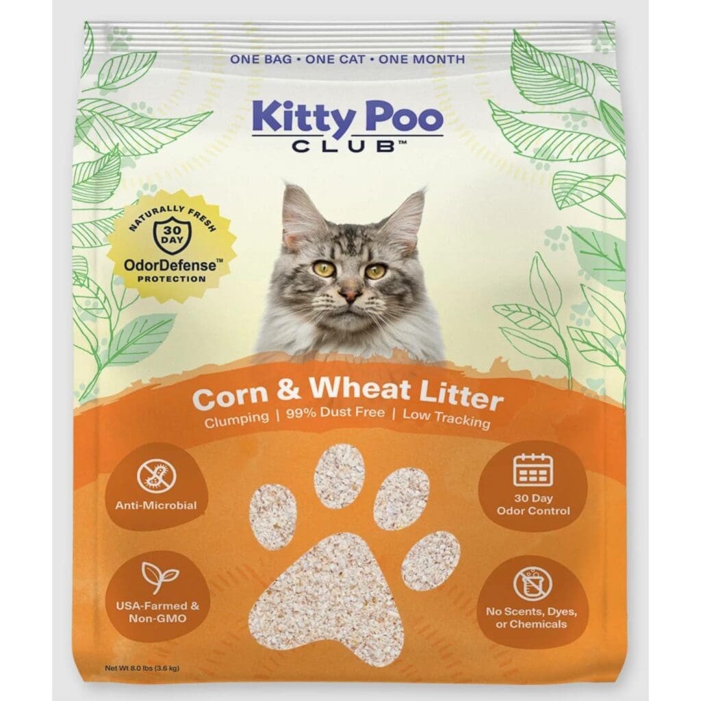 10 Best Unscented Cat Litters - 2026 Reviews & Top Picks | Hepper Pet ...