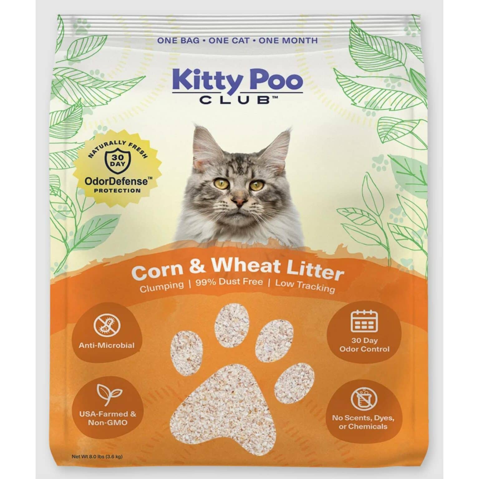 10 Best Unscented Cat Litters - 2026 Reviews & Top Picks | Hepper Pet ...