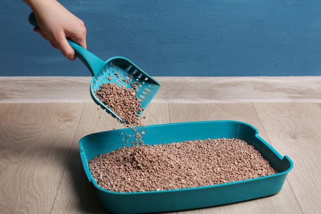 My Cat Is Scratching Their Litter Box Excessively: 8 Reasons & How to ...