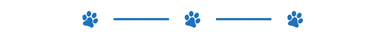 12 Types of Shepherd Dog Breeds & Their Differences (With Info ...