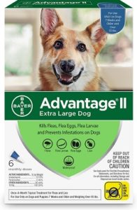 Advantage II vs. Advantix II: We Asked a Vet (2025 Update) | Hepper Pet ...