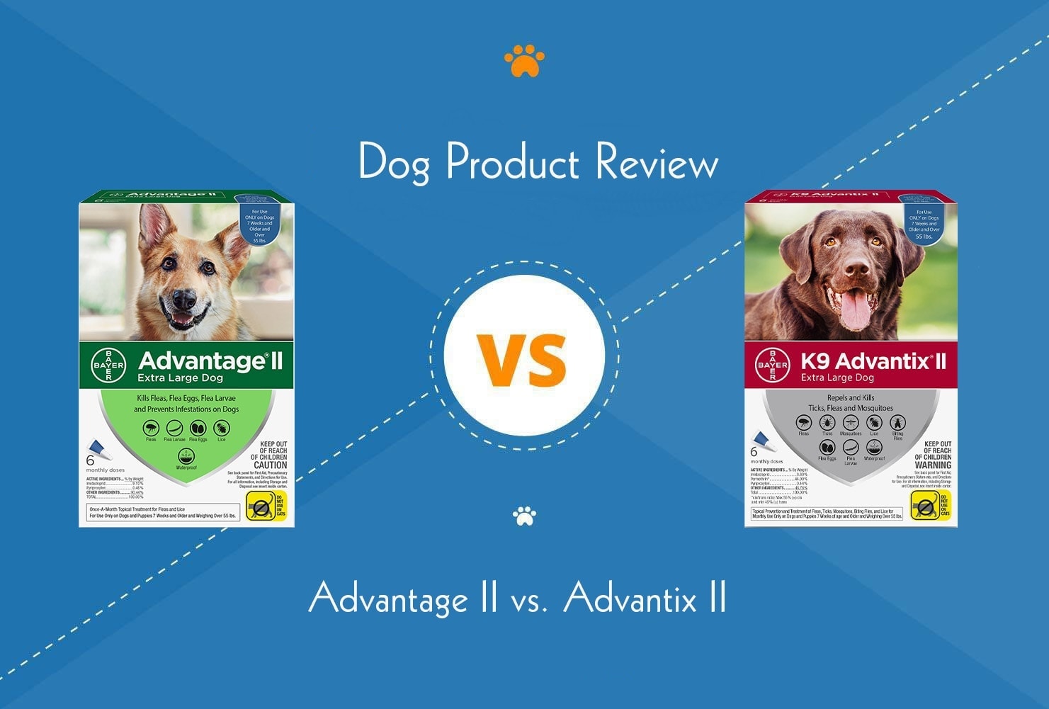 Advantage II vs. Advantix II: We Asked a Vet (2025 Update) | Hepper Pet ...