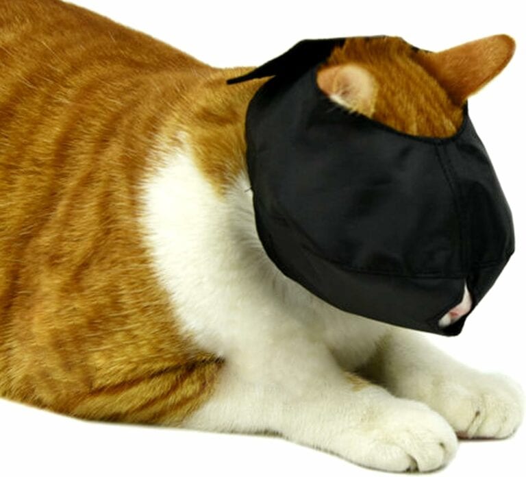 9 Best Cat Muzzles - 2026 Reviews & Top Picks | Hepper Pet Resources