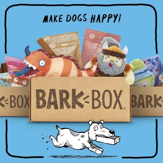 10 Best Dog Subscription Boxes of 2026 - Top Picks & Reviews | Hepper ...
