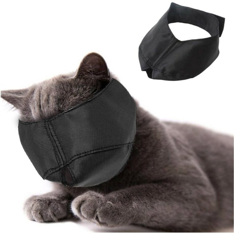 10 Best Cat Muzzles - 2025 Reviews & Top Picks | Hepper Pet Resources