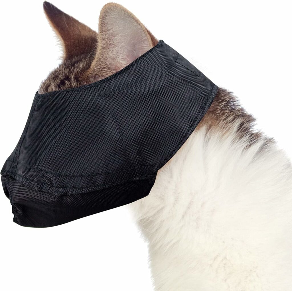10 Best Cat Muzzles - 2025 Reviews & Top Picks | Hepper Pet Resources