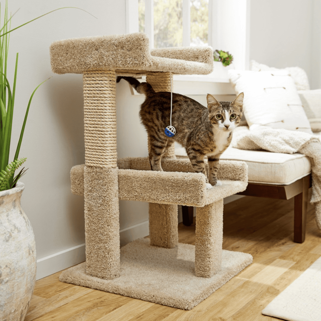 18 Best Cat Trees for Small Apartments - 2025 Reviews & Top Picks ...