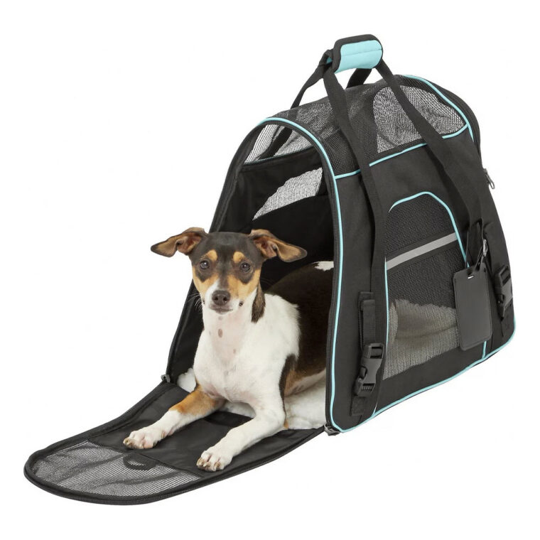 9 Best Airline-Approved Cat Carriers for Planes - 2026 Reviews & Top ...