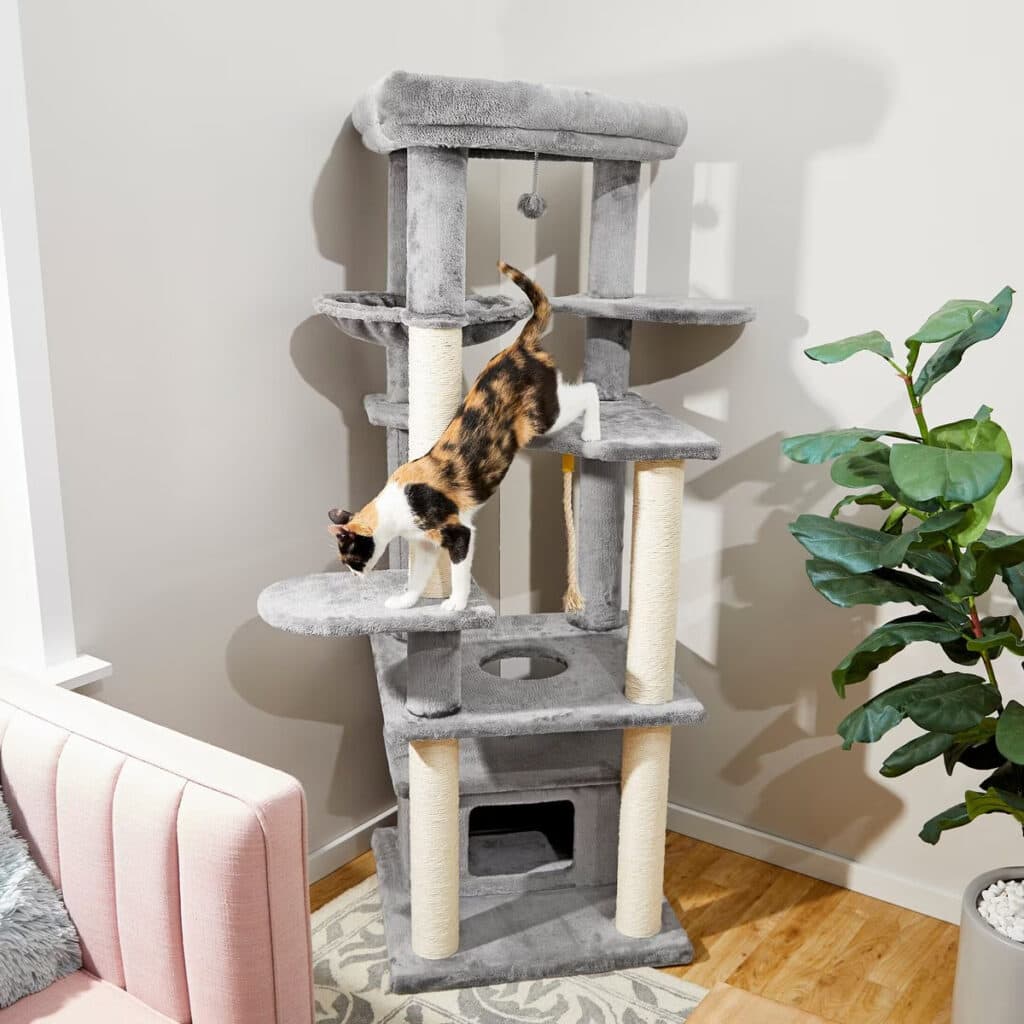 10 Best Cat Trees for Older Cats - 2026 Reviews & Top Picks | Hepper ...