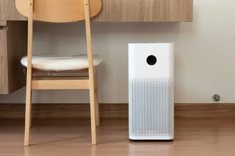 Are Air Purifiers Safe for Pets? Vet Reviewed Health & Safety Facts ...