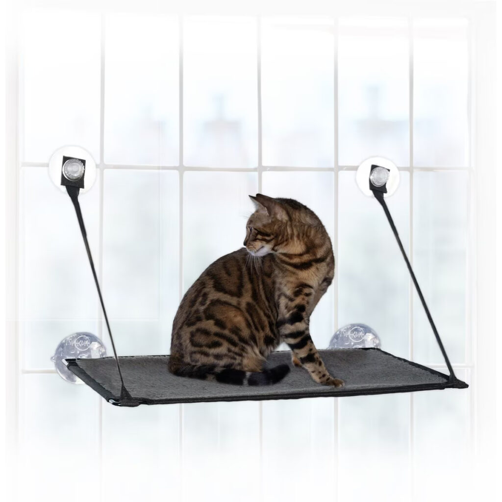 10 Best Cat Window Perches & Beds - 2025 Reviews & Top Picks | Hepper ...