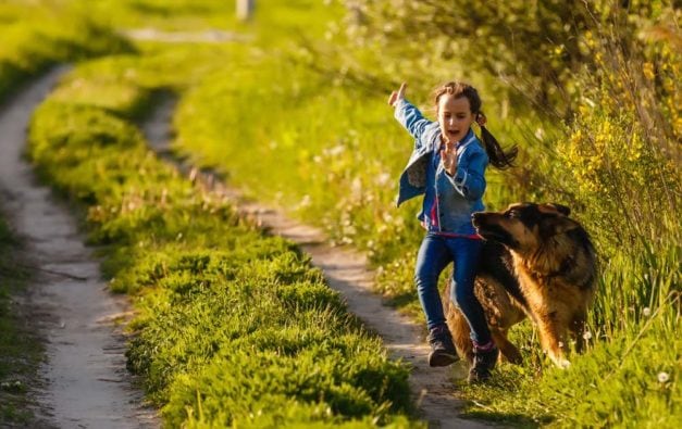 How to Get Over a Fear of Dogs: 6 Expert Tips and Advice | Hepper Pet ...