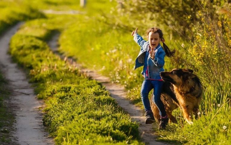 22 Worst Dog Breeds for Kids (with Info & Pictures) | Hepper Pet Resources