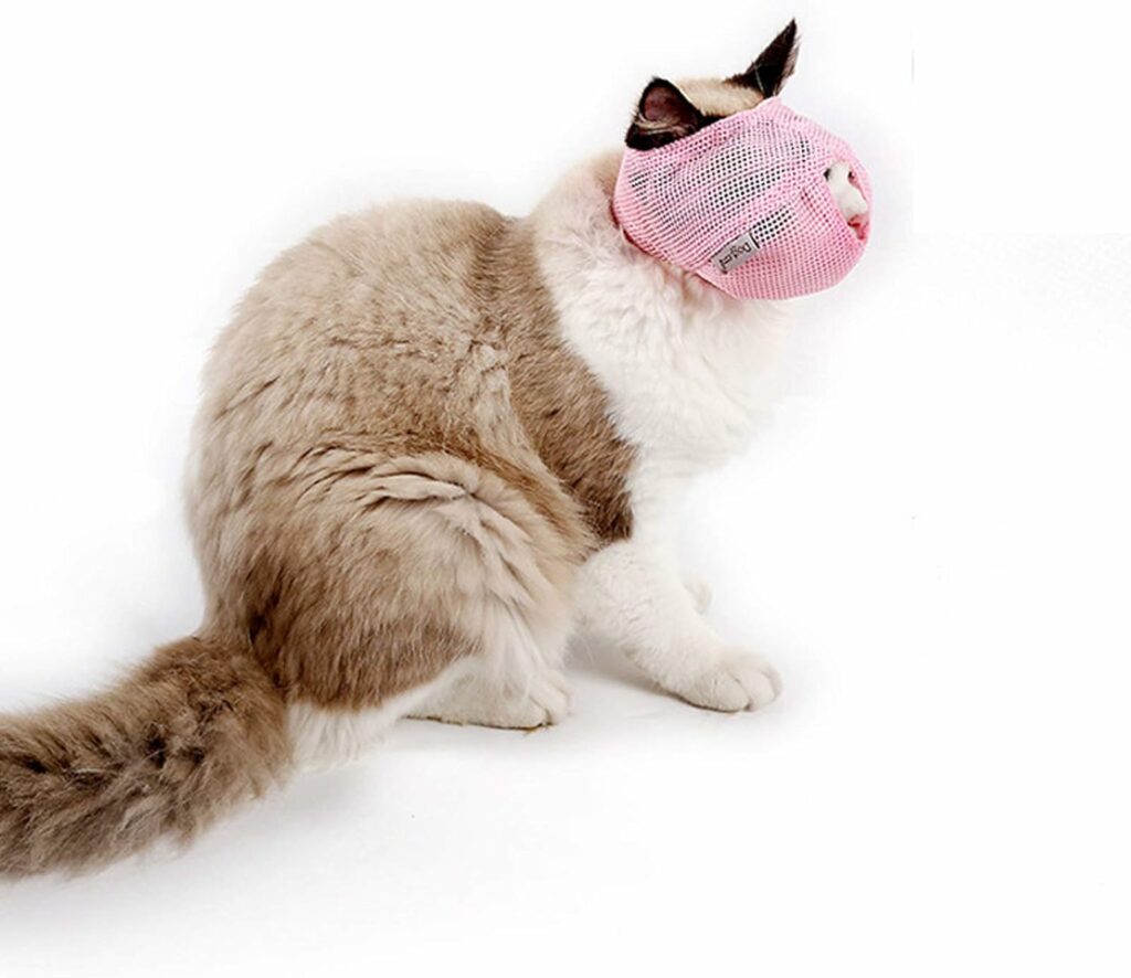 9 Best Cat Muzzles - 2026 Reviews & Top Picks | Hepper Pet Resources
