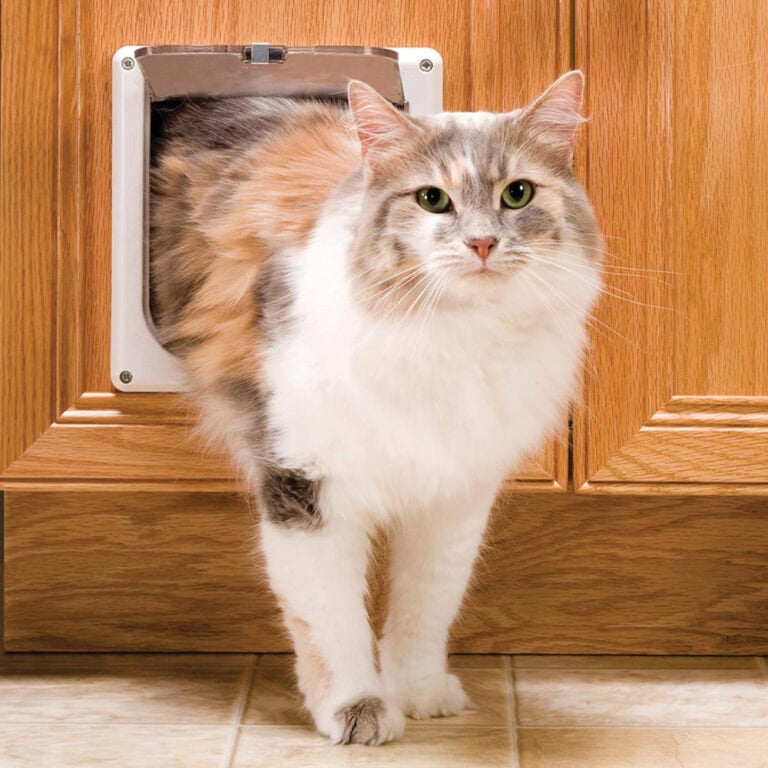8 Best Cat Doors (for All Door Types) - 2026 Reviews & Top Picks ...