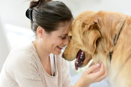 20 Most Affectionate Dog Breeds That Love to Cuddle (With Info ...