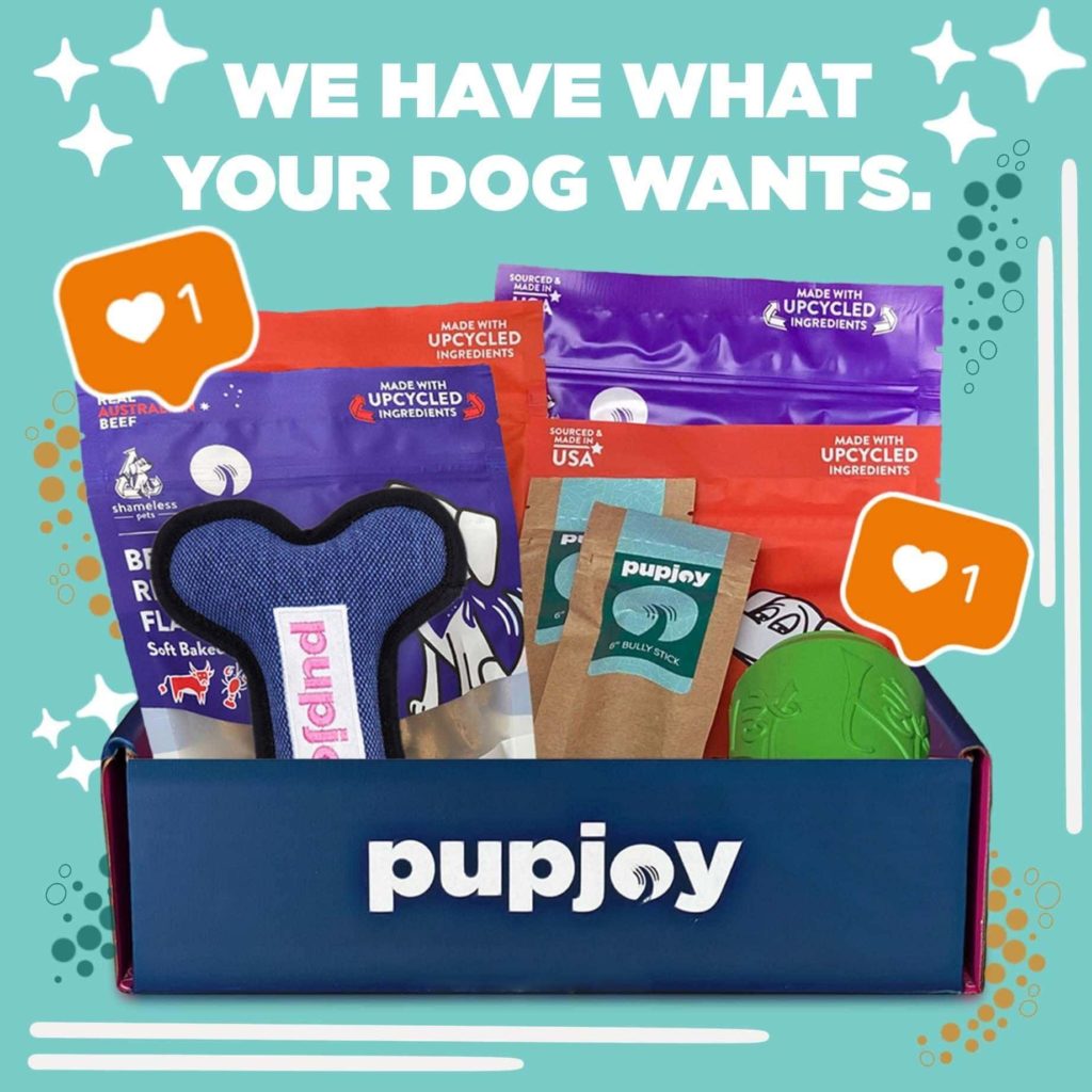 10 Best Dog Subscription Boxes of 2026 - Top Picks & Reviews | Hepper ...