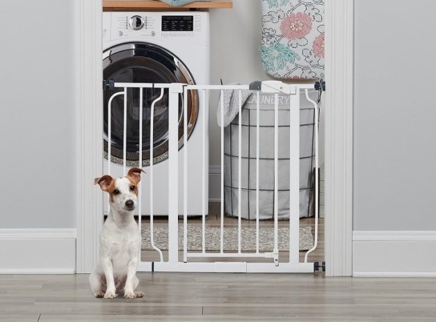 10 Best Indoor Dog Gates in 2026 - Reviews & Top Picks | Hepper Pet ...