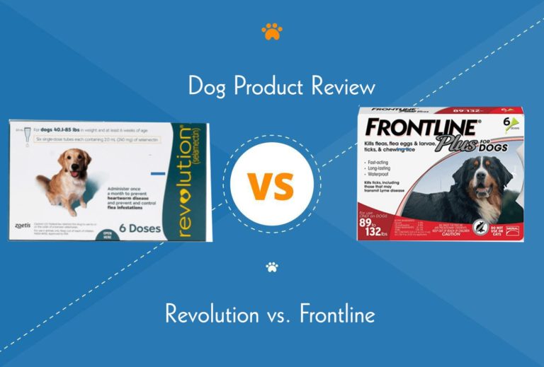Revolution vs. Frontline Plus: We Asked a Vet (2025 Update) | Hepper ...