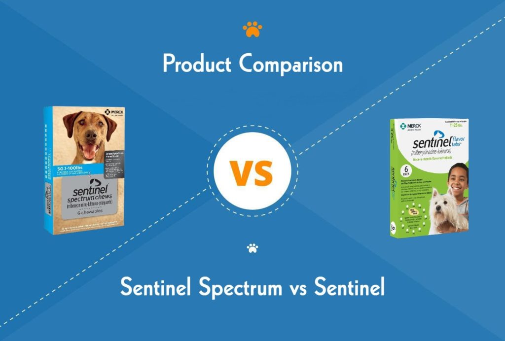 Sentinel Spectrum vs Sentinel: Key Differences (Vet Answer) | Hepper ...