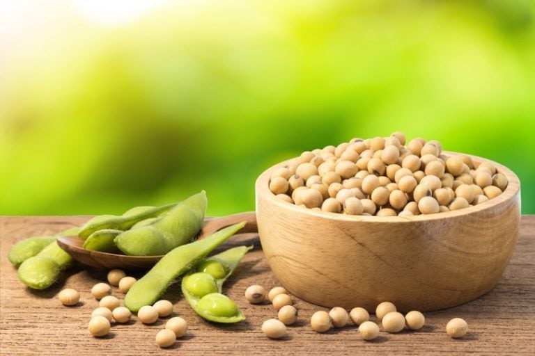 Can Dogs Eat Soybeans? Vet Approved Advice | Hepper Pet Resources