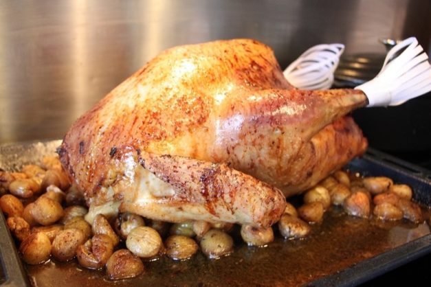 Can Dogs Eat Fried Chicken? Vet Approved Facts & FAQ | Hepper Pet Resources