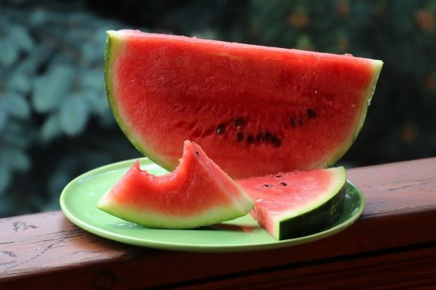 15 Awesome Superfoods for Dogs (Vet Approved) | Hepper Pet Resources