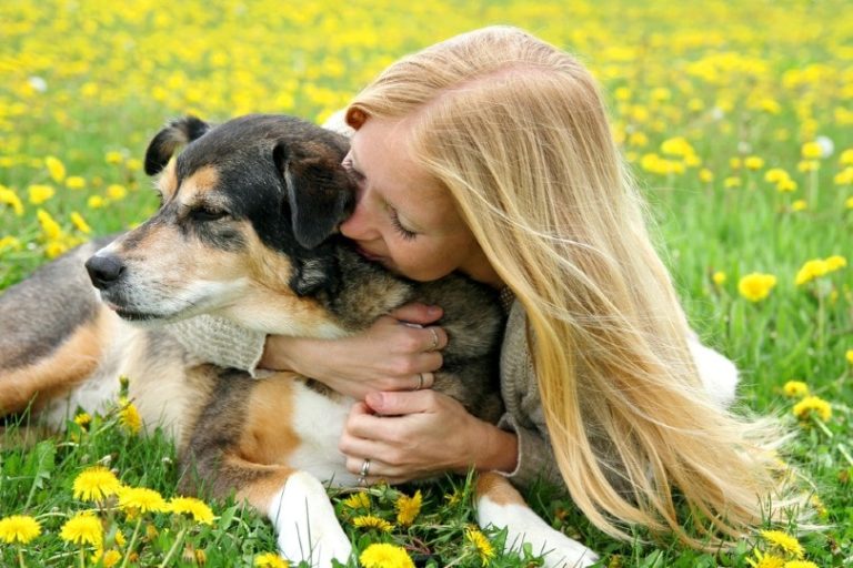 Do Dogs Like Hugs? How To Hug Them the Right Way | Hepper Pet Resources