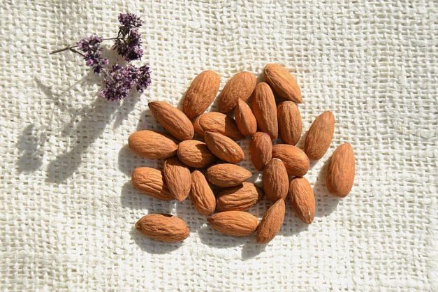 Can Dogs Eat Almonds? Are Almonds Safe for Dogs? | Hepper Pet Resources