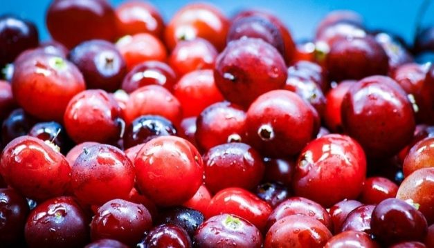 13 Fruits Dogs Can Eat Safely: Vet-Approved Types (With Pictures ...