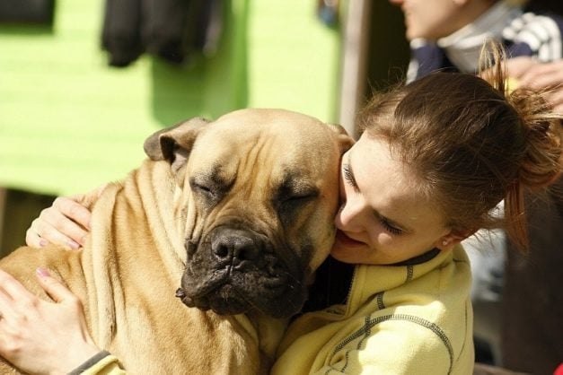 Why Do Dogs Like to Cuddle? Facts & FAQ | Hepper Pet Resources