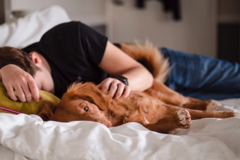 Why Does My Dog Sleep So Close to Me? 4 Reasons & Vet-Approved Tips ...