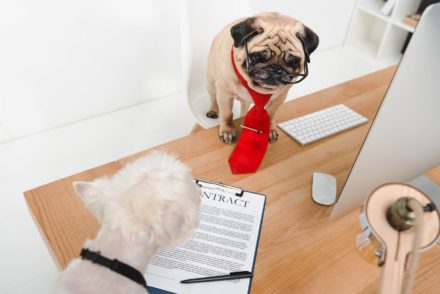5 Puppy Contract Templates (PDF) in 2025 | Hepper Pet Resources