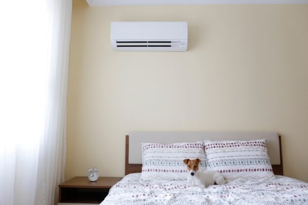 What's the Ideal Room Temperature for a Dog? Vet-Verified Facts & Info ...
