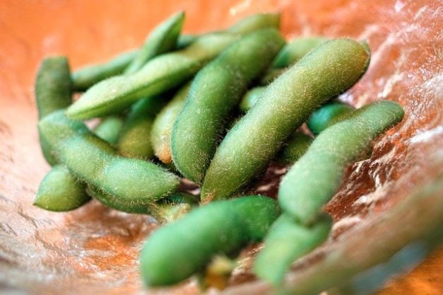 Can Dogs Eat Edamame? Vet-Approved Nutrition Facts & Safety Guide ...
