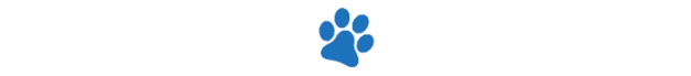 Cane Corso Poodle Mix: Info, Pictures, Traits & Facts | Hepper Pet ...