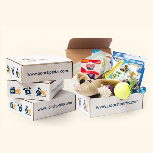 10 Best Dog Subscription Boxes of 2026 - Top Picks & Reviews | Hepper ...