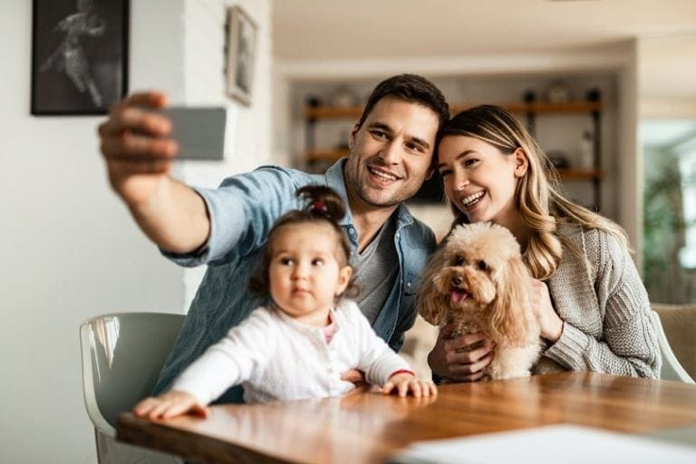 25 Most Popular Family Dog Breeds (With Info & Pictures) | Hepper Pet ...