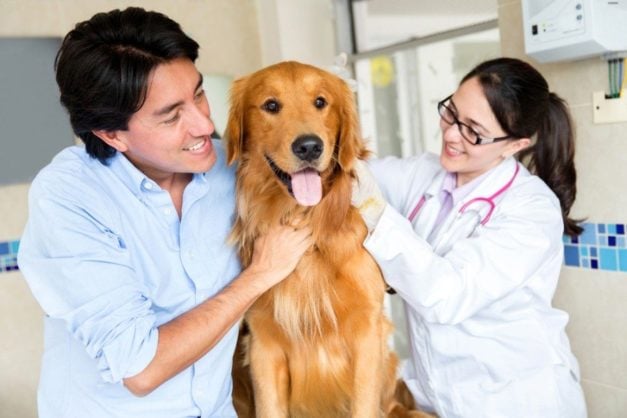 24 Exciting Jobs & Career Paths for Dog Lovers (2026 Guide) | Hepper ...