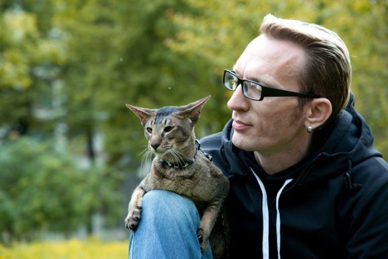 Cat Vision vs Human Vision: Comparisons & FAQ (With Infographic ...