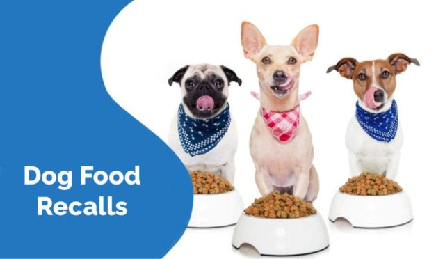 Dog Food Recall Information & Alerts | List Updated in 2026 | Is Your ...