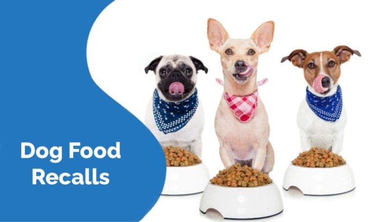 Dog Food Recall Information & Alerts | List Updated in 2026 | Is Your ...