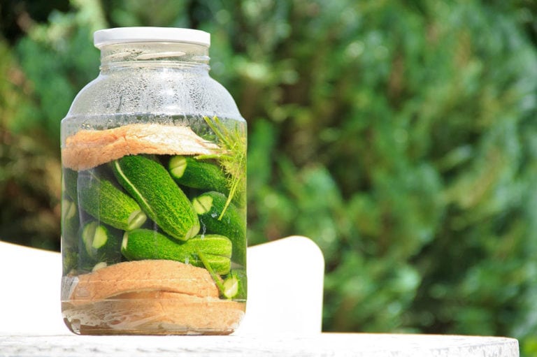 Can Cats Eat Pickles? Vet-Reviewed Nutrition Facts & FAQ | Hepper Pet ...