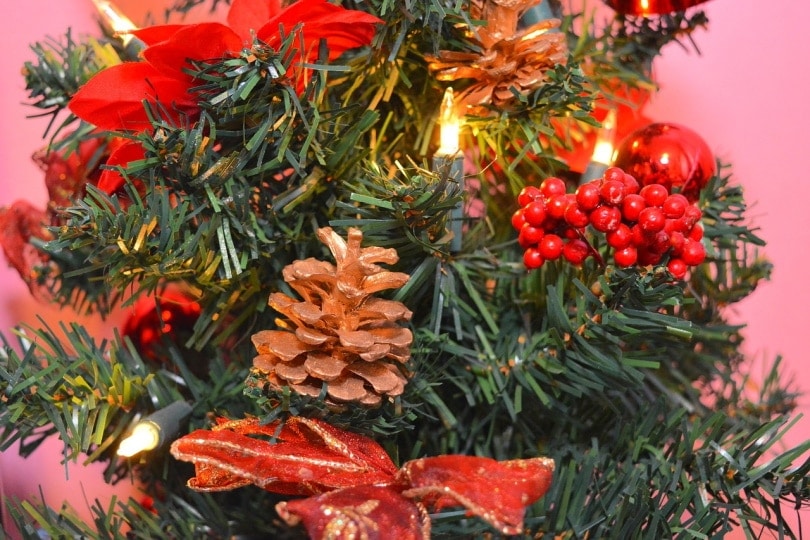 Do Cats Eat Christmas Trees? Toxicity & Safety Facts | Hepper Pet Resources