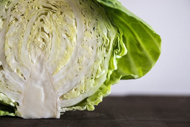 Can Dogs Eat Cabbage? Vet Approved Facts & FAQ | Hepper Pet Resources