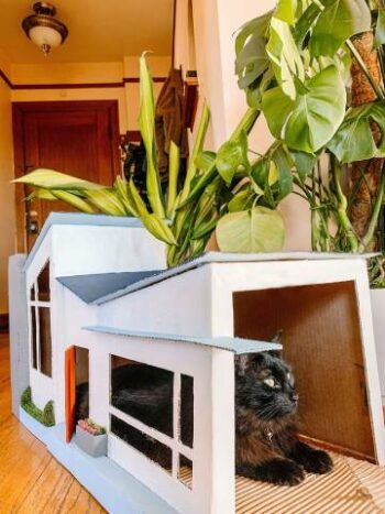 24 DIY Cardboard Cat House Plans You Can Build Today (With Pictures ...