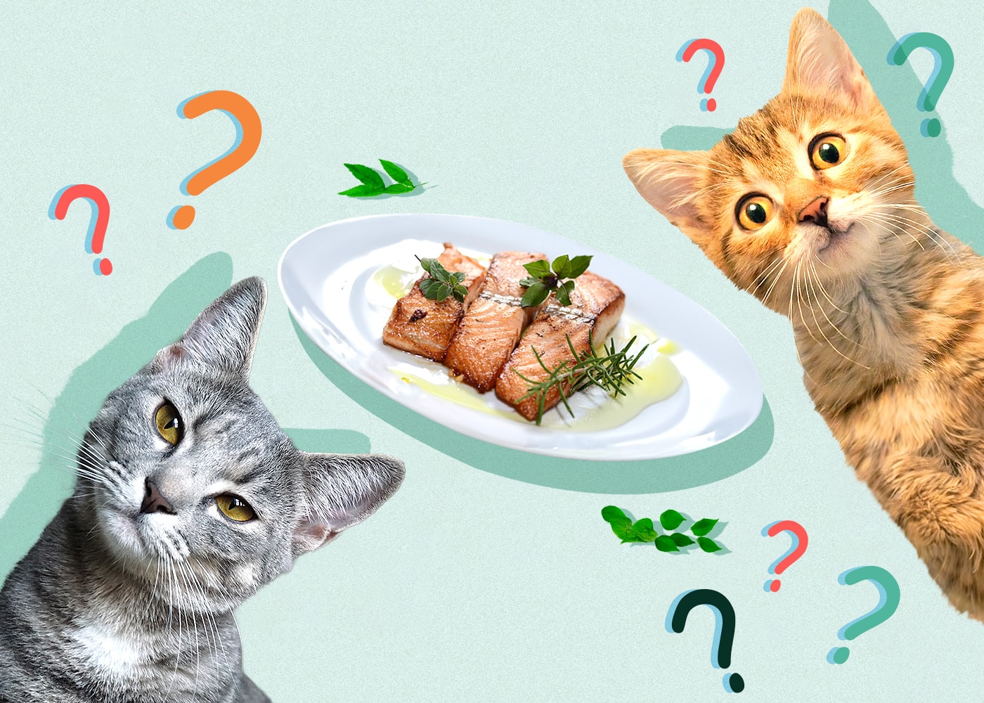Can Cats Eat Salmon? Vet-Reviewed Health & Safety Guide | Hepper Pet ...