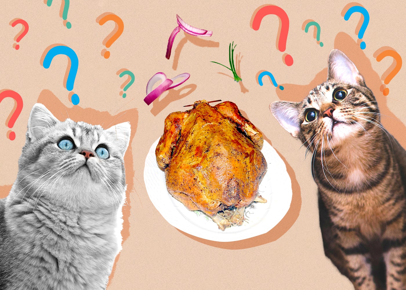 Can Cats Eat Turkey? Vet-Reviewed Facts & Feeding Tips | Hepper Pet ...